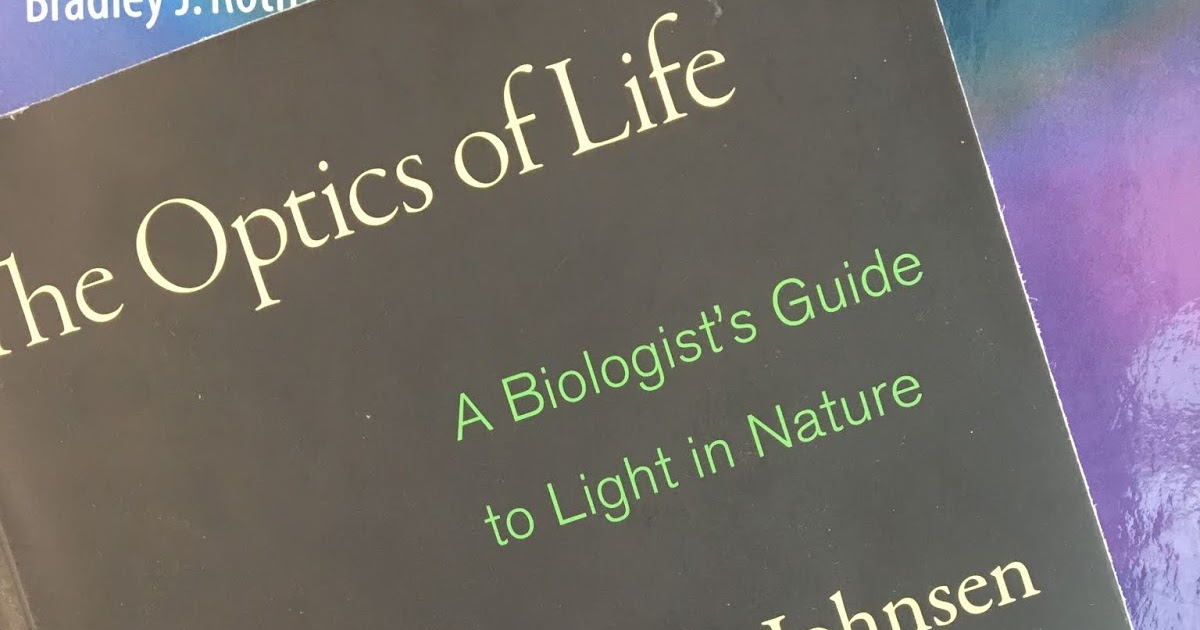 Intermediate Physics for Medicine and Biology: The Optics of Life