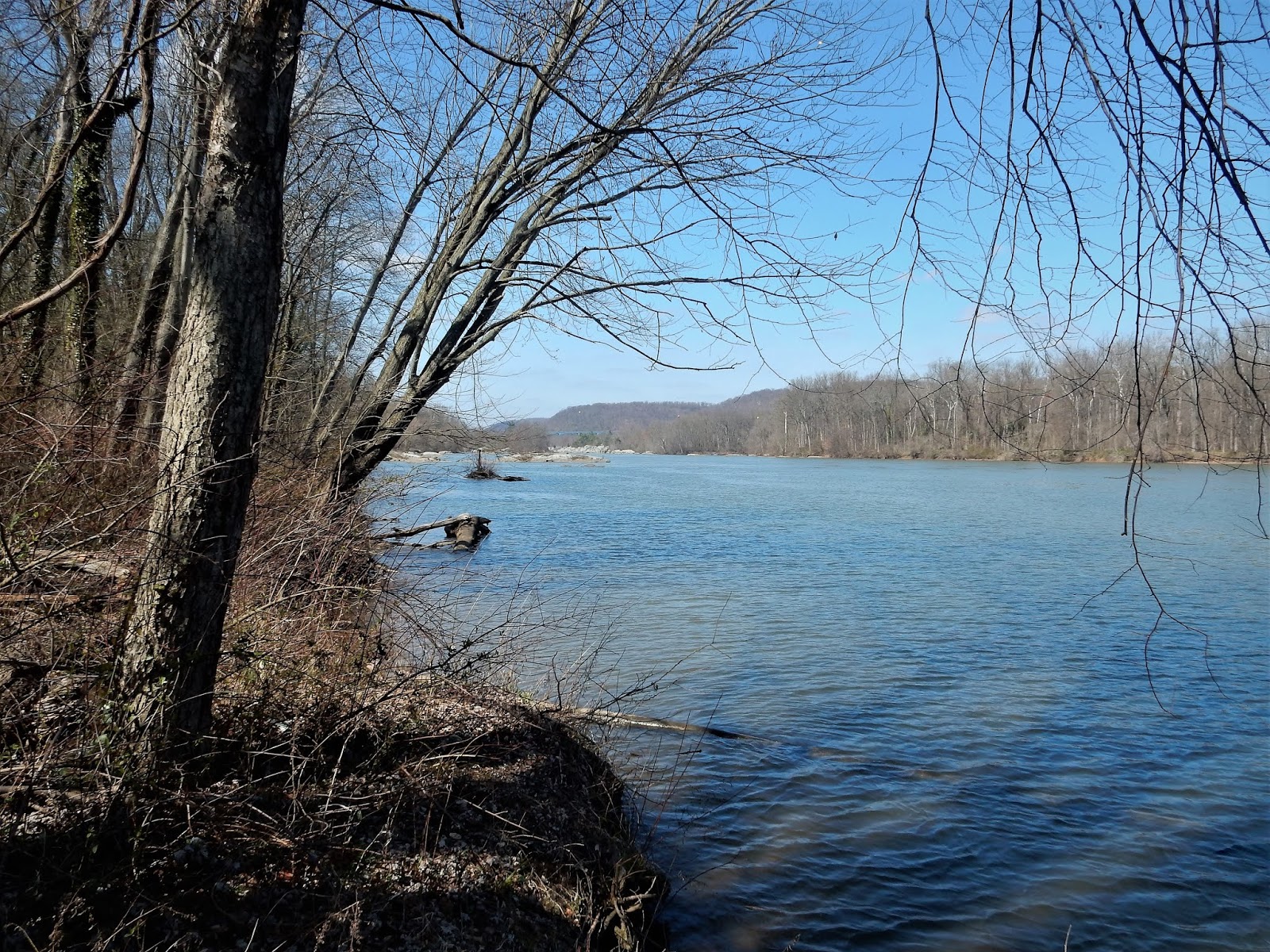 Natural Mid-Atlantic : PA River Road: Keeping Close to Home