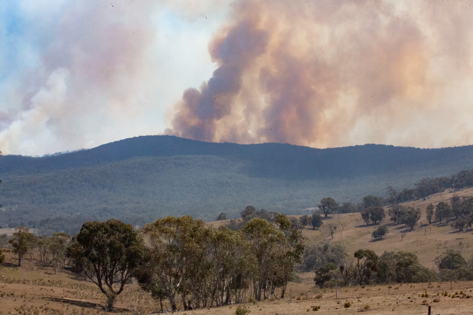 Tallaganda Wilderness Fire 2019-20: Chronology 24-29 November
