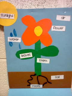 Me and My Gang: Plants and Main Idea