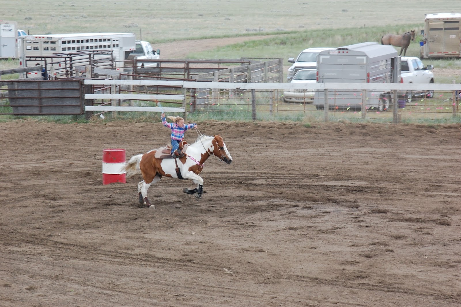 En rejsedagbog: Buffalo Rodeo