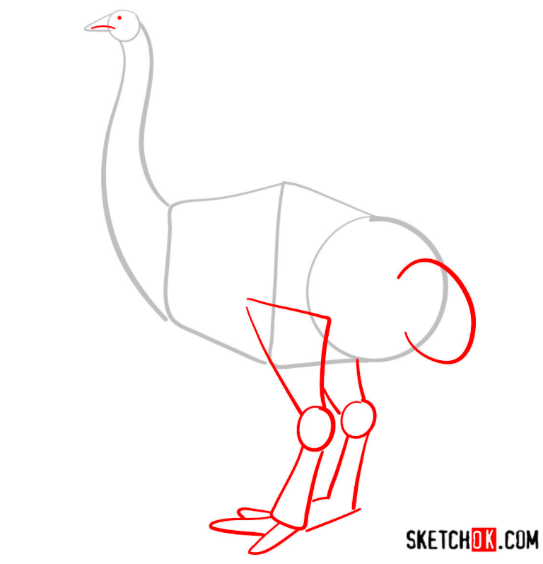 Whanaketanga Student Blog : Step by Step Moa drawing