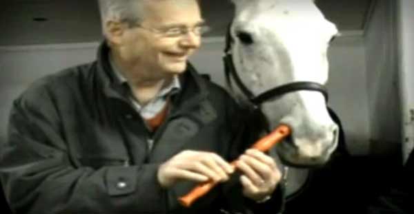 HORSES PLAYING MUSICAL INSTRUMENTS ~ Popthomology