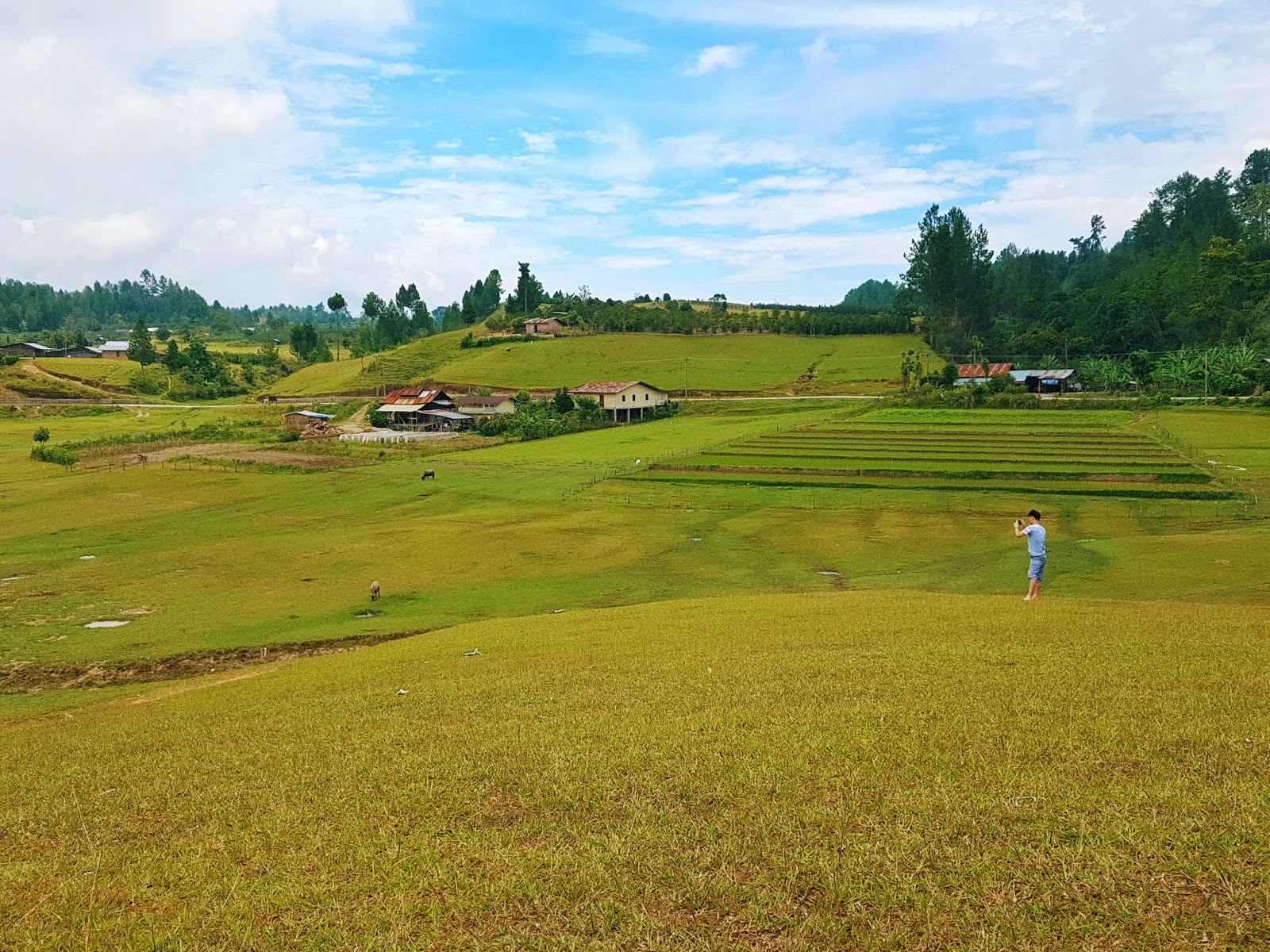 DANAU SIDIHONI - NEW ZEALANDNYA PULAU SAMOSIR - Cerita Winnie Blog