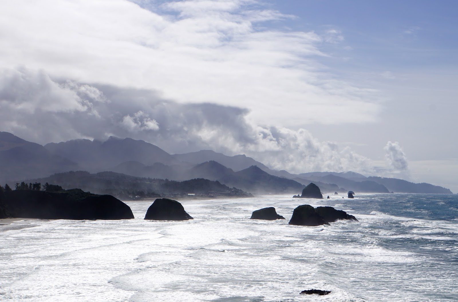 Clatsop Loop Trail at Ecola State Park - SesameTravel