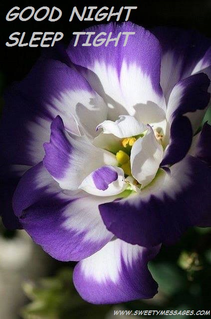 GOOD NIGHT SLEEP TIGHT IMAGES | Beautiful Messages
