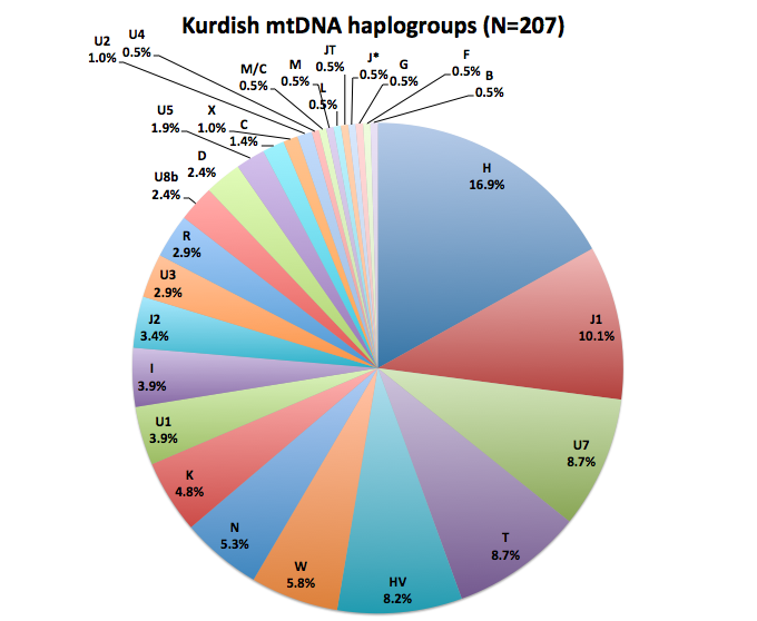 KurdishDNA: Kurdish mtDNA data XII