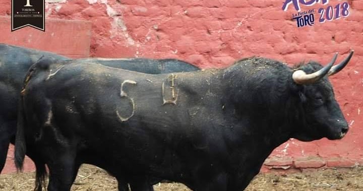 Perú Taurino: MAÑANA EN ACHO TOROS ESPAÑOLES DE DANIEL RUIZ Y SÁNCHEZ ...