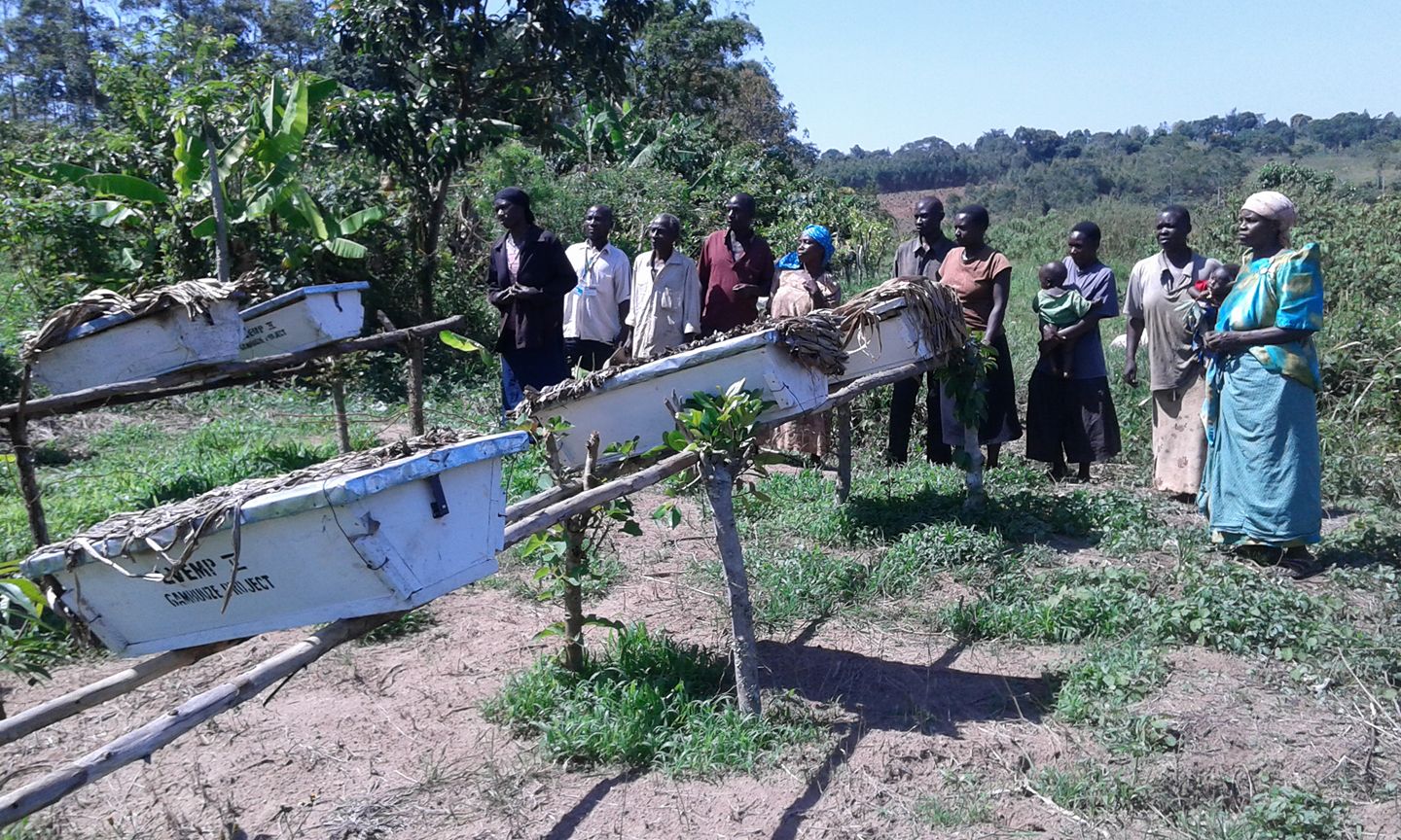 Masaka KP HIV Prevention & Support Organization (MAHIPSO): We Are Proud ...