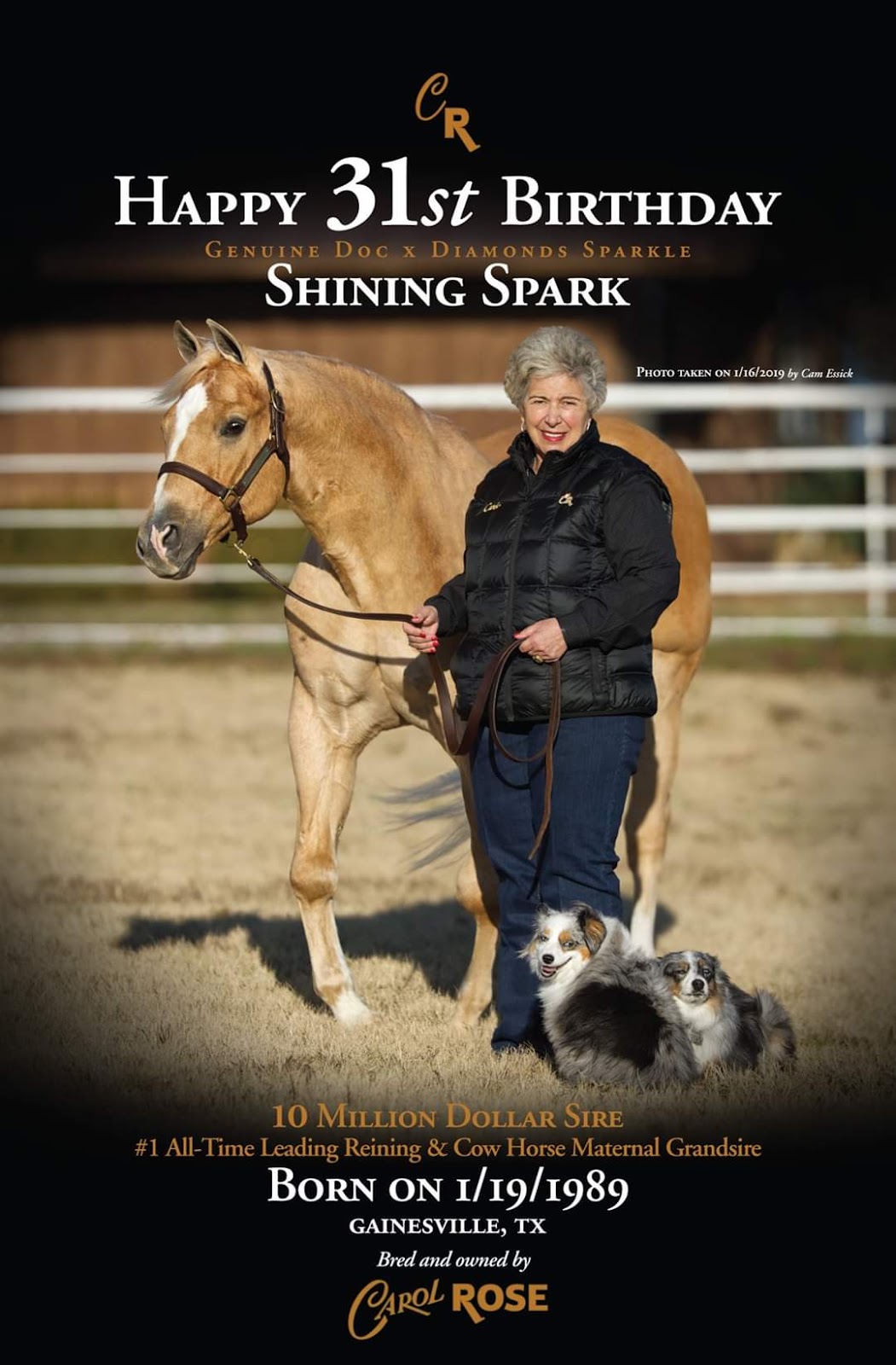 MAURO PENZA REINING NEWS: B-DAY: SHINING SPARK STILL SHINES AT 31
