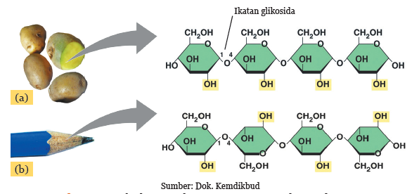 Belajar Bareng Bu Ana: Partikel dalam Benda dan Makhluk Hidup