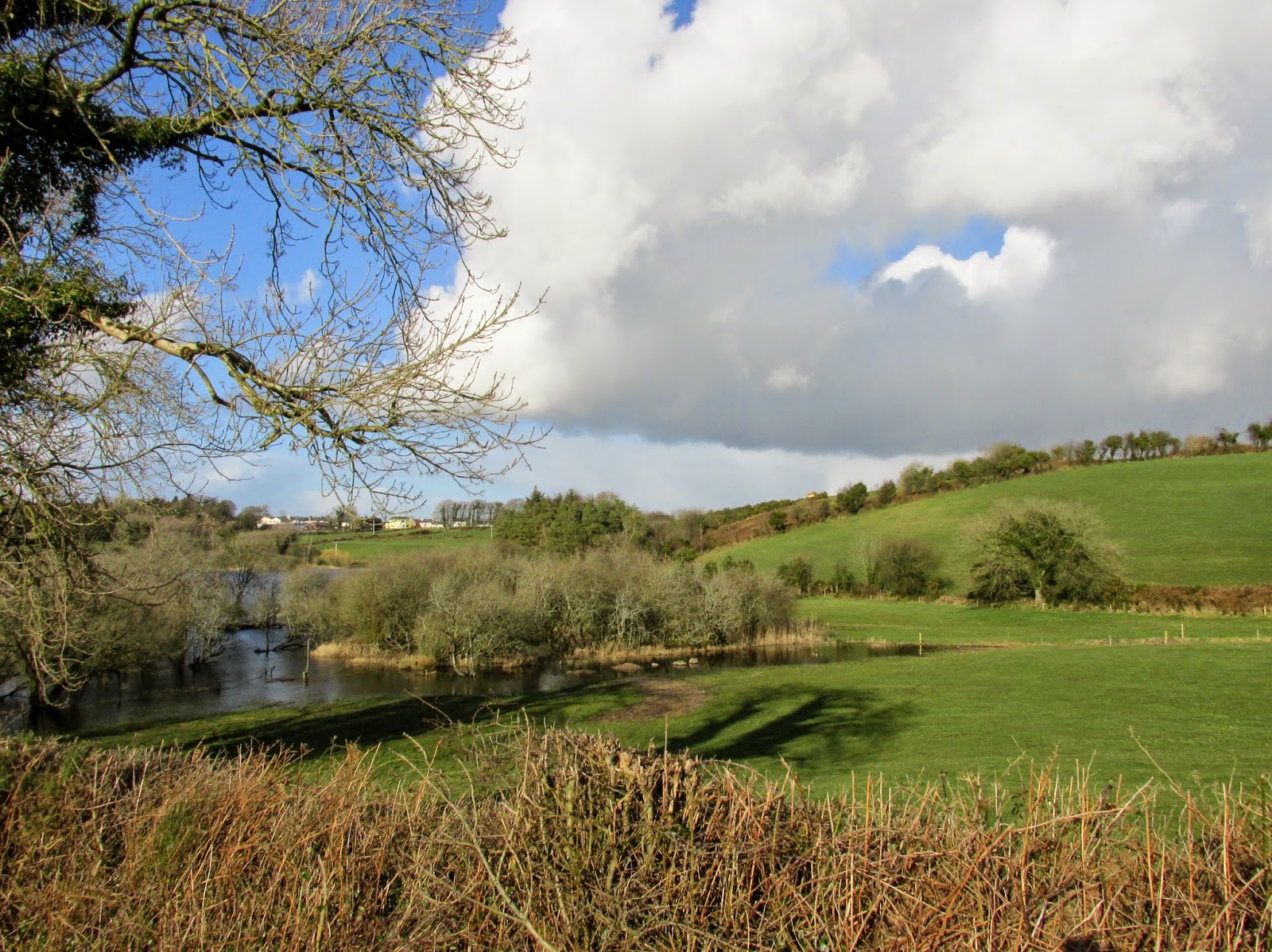 Farming in Rural Ireland - All things nice...