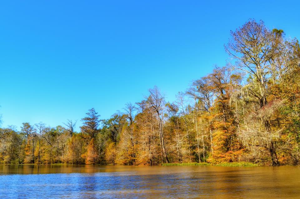Kints: The Unfathomed: Big Swamp and Big Lake, 22 November 2015