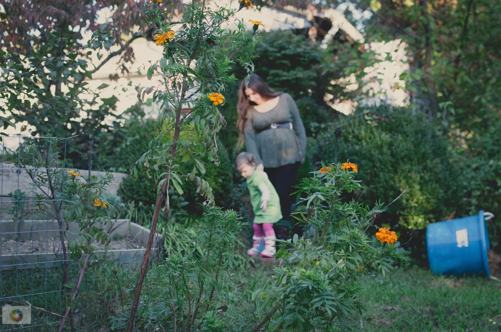 Focus on the Stories: Golden Hour Impromptu Backyard Photo Shoot