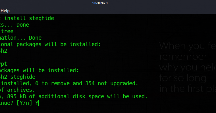 Steganography using STEGHIDE