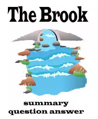 The brook Question Answers | Summary Class 12 AHSEC