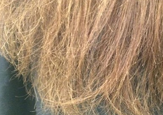 How To Fix Hair Branching - zona blog