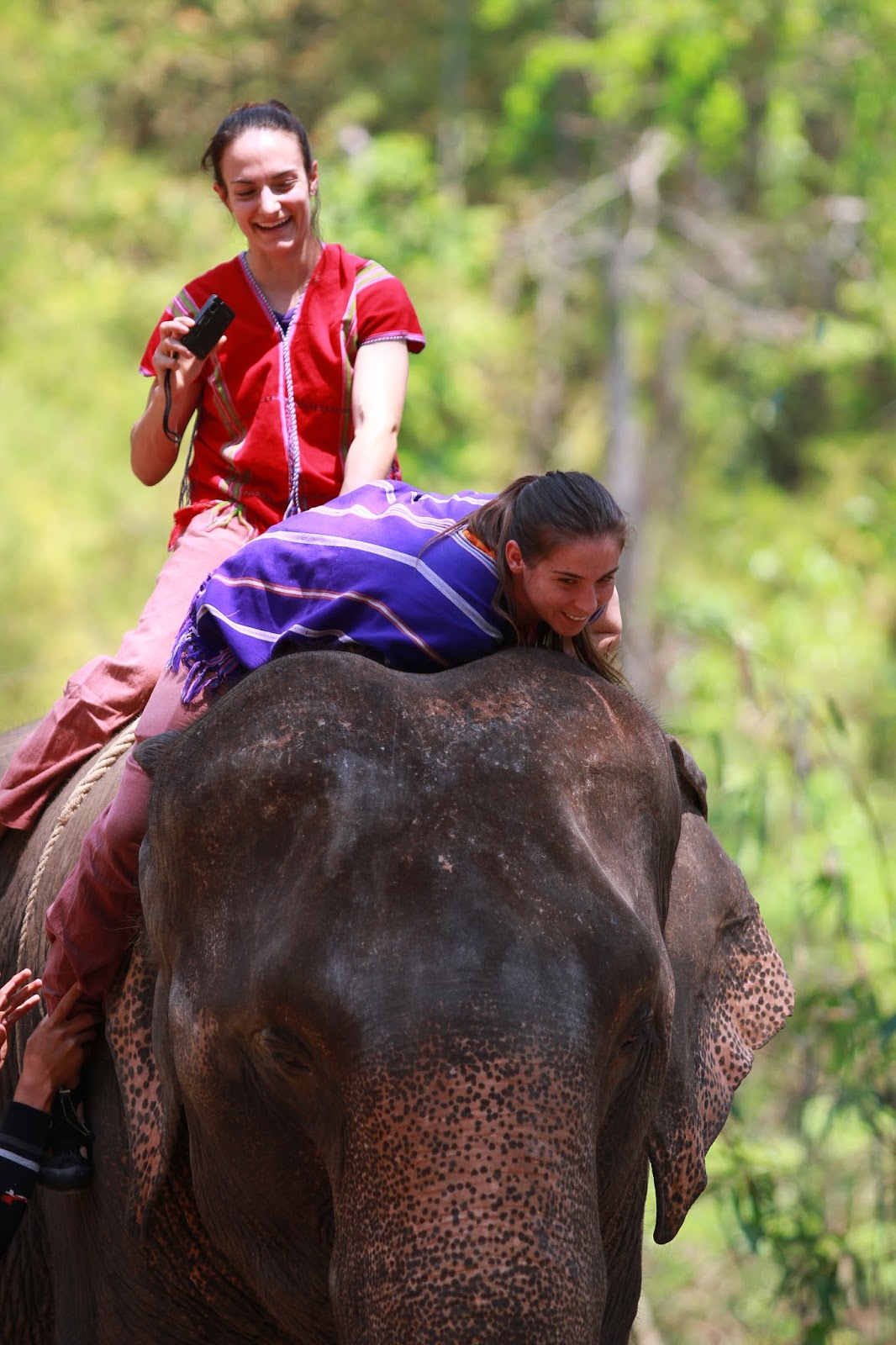 Living the Bucket List Life: #111 Blow into the Trunk of an Elephant