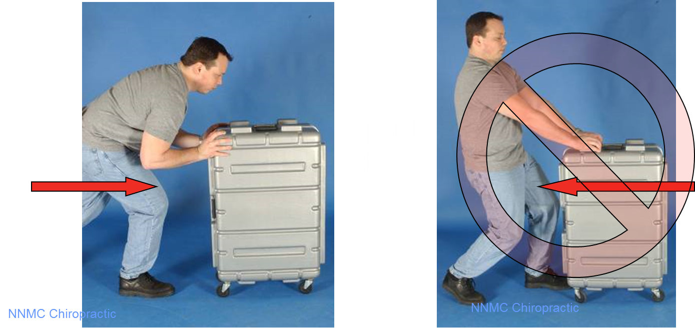 HEALTH & SAFETY: The Spine ~ Winnies