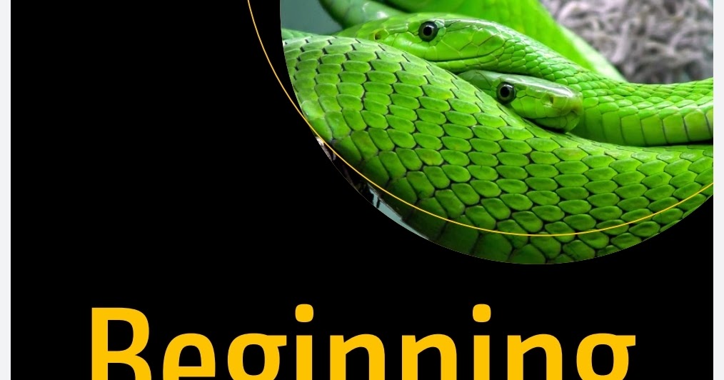 Beginning PyQt: A Hands-On Approach to GUI Programming - KING OF EXCEL