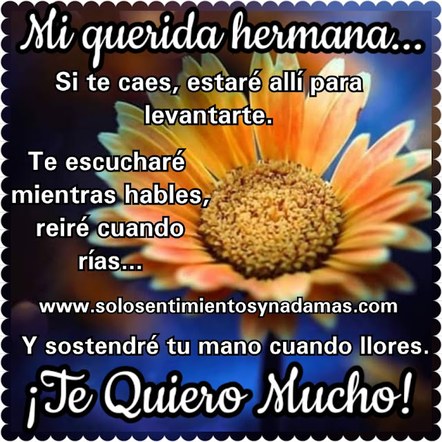Mi querida hermana... - Solo sentimientos y nada mas