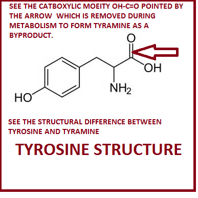 MAS PHARMACY REVIEW-HEALTH TIMES: AUTONOMIC NERVOUS SYSTEM-PART-VIII
