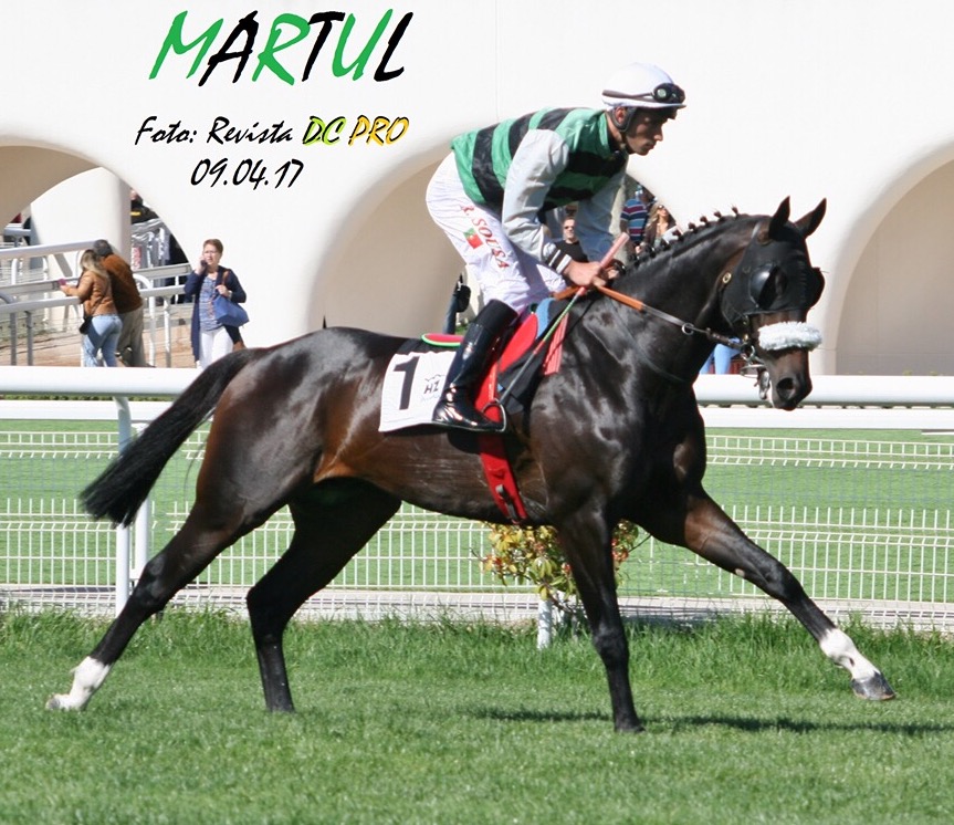 Martul C.B.: abril 2017