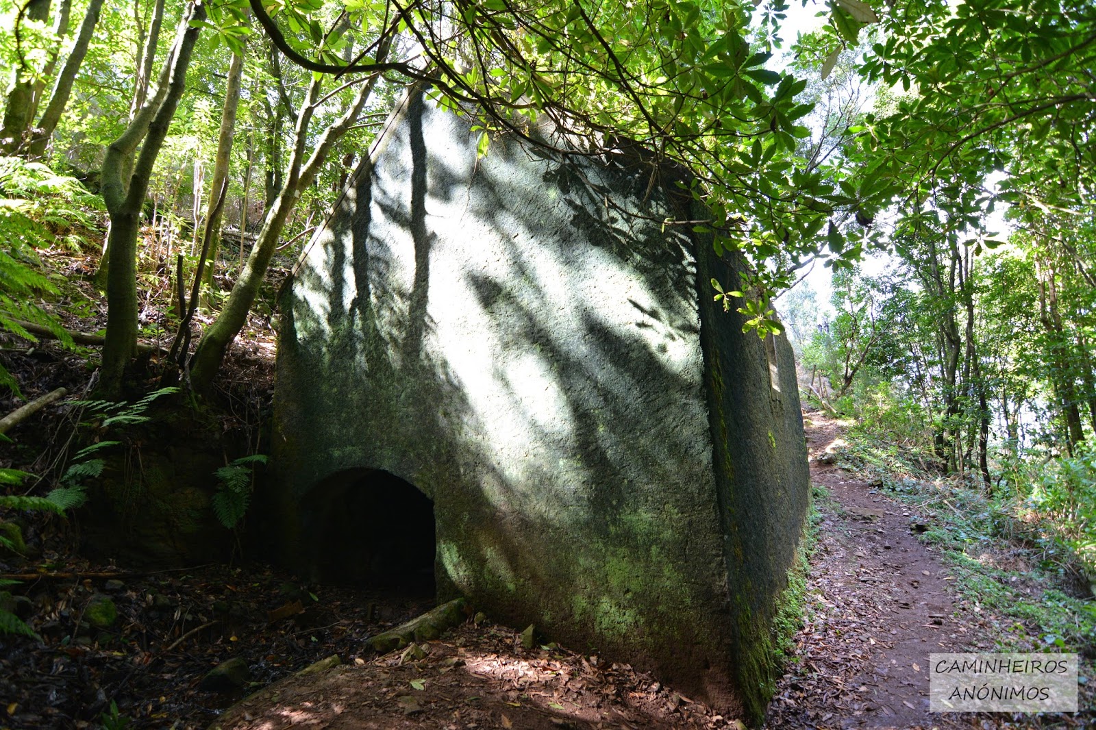 Caminheiros Anónimos Levadas da Madeira : Levada Grande (Achadas da Cruz)