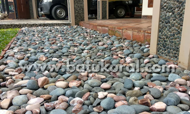 JUAL BATU KORAL RED SINGAPURE TERLARIS DI JABODETABEK ~ JUAL BATU ALAM ...