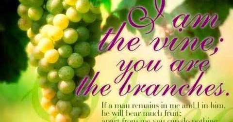 Pearl of Great Price: Spiritual Pruning (5th Sunday Easter B)