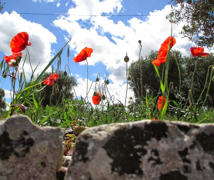 Atelier Delle Attività Espressive: Percorsi Archeologici: Tra Arte ...