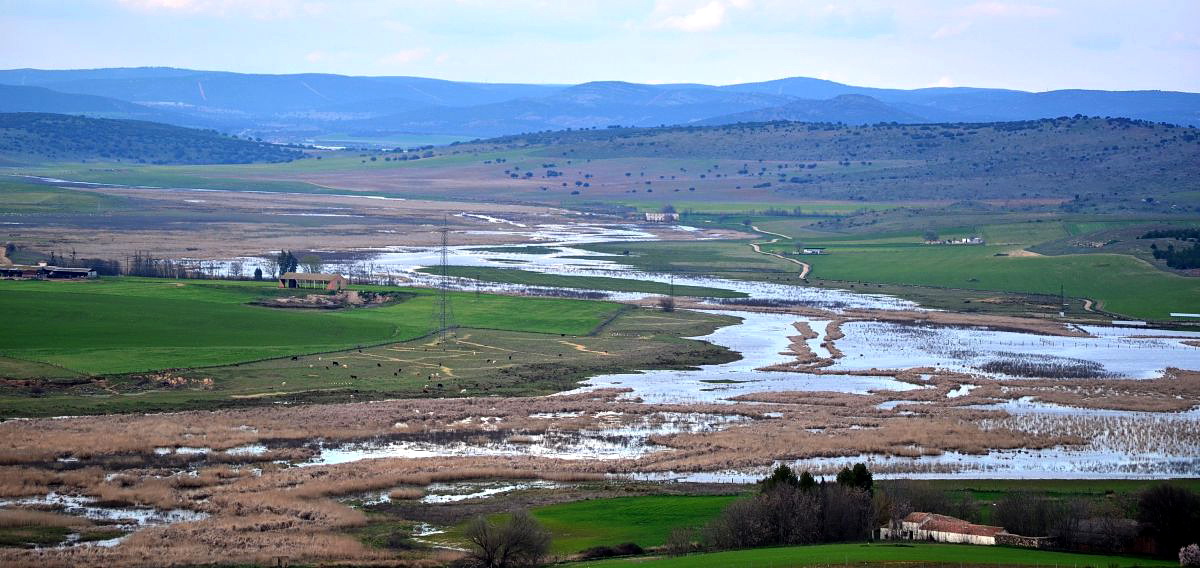 ALMANAQUE NATURAL: noviembre 2012