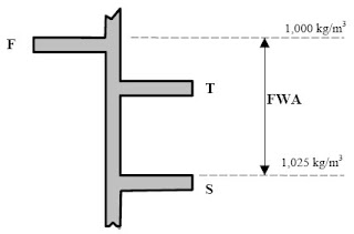 AlexeyChepok: Fresh Water Allowance (FWA) vs Dock Water Allowance (DWA)