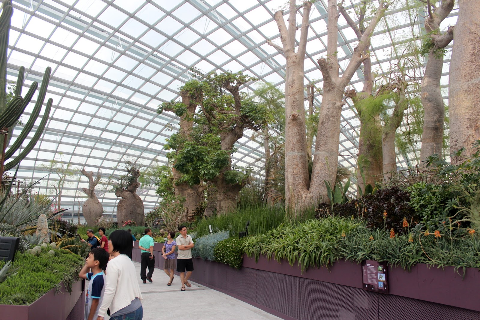 P for Phyllis: Gardens by the Bay @ Singapore