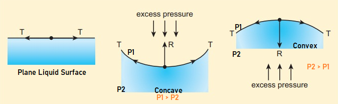 Pressure difference across a Liquid Surface