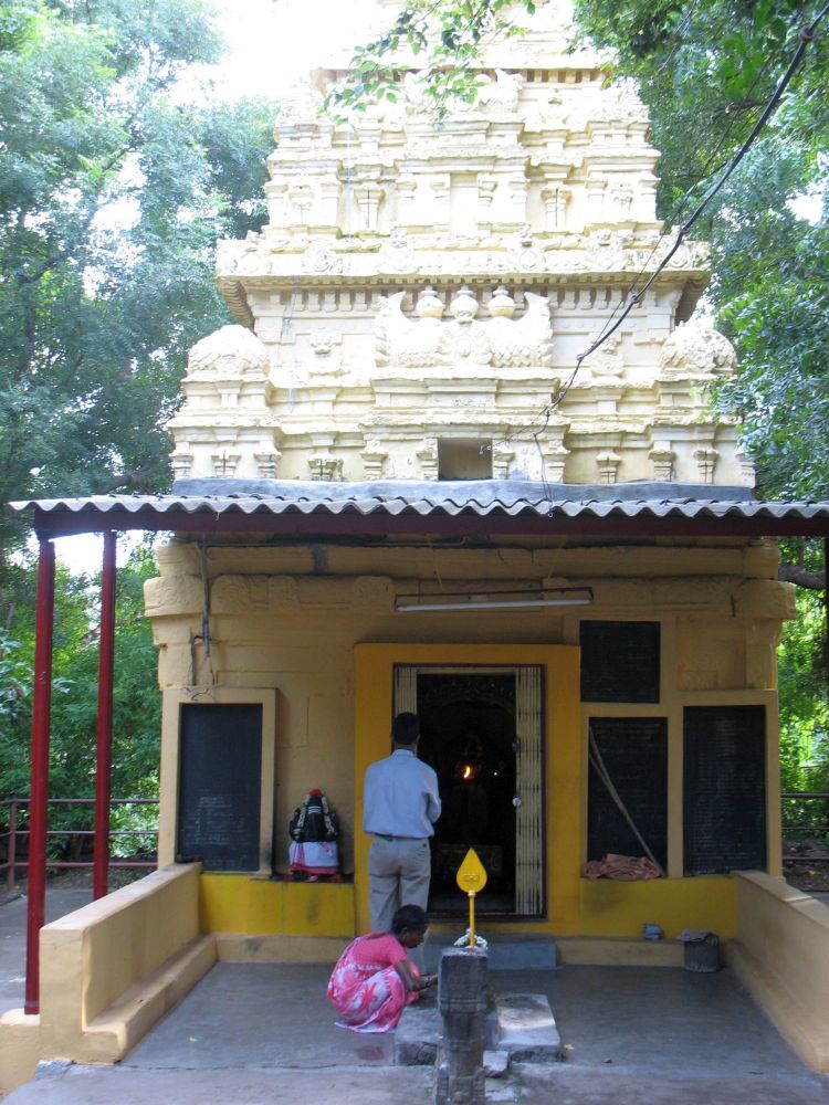 November 2011 - ARUNACHALA GRACE