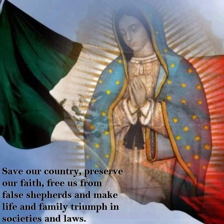 CATHOLICITYBLOG: OUR LADY OF GUADALUPE, SAVE OUR COUNTRY