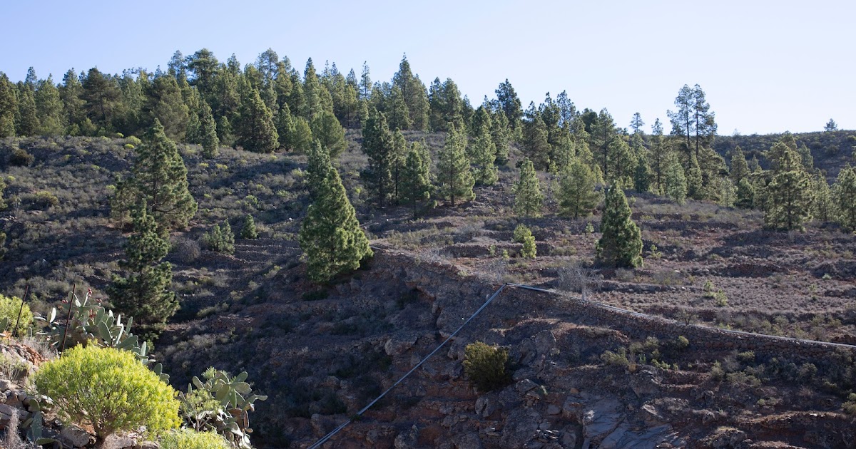 MONTAÑA TRENES E HISTORIAS: RUTA A LA CASCADA DE CHINDIA