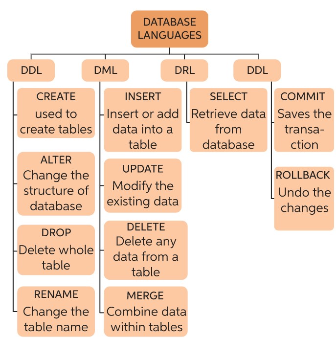 Database Management System (DBMS) Definition & Meaning - MDSSeducation