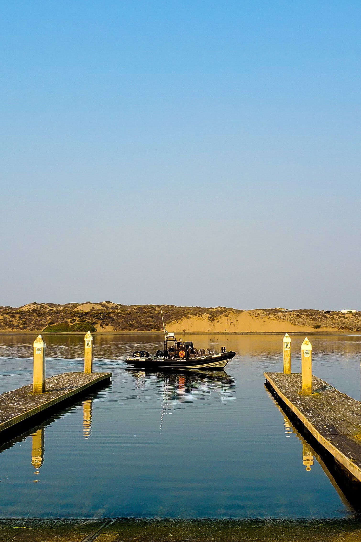 All The Reasons Why You Should Go Whale Watching