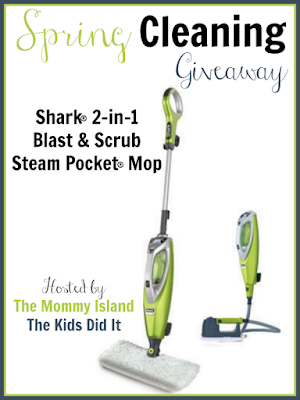 What a great prize! This would be great for spring cleaning.