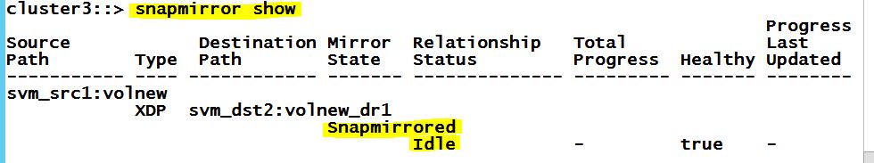 Remote Infrastructure Management