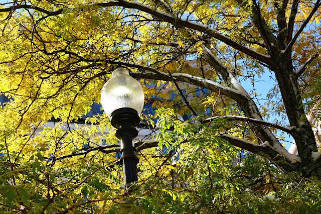 Joe's Retirement Blog: Fall - A Boston Walk, Boston, Massachusetts, USA