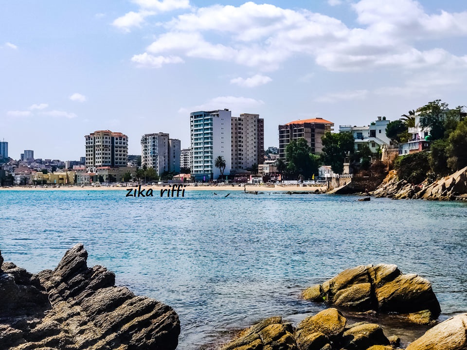 POISSON SAUREL FRIT A LA BÔNOISE ( CHINCHARD ) ET SON MATLOUE EL HOUT
