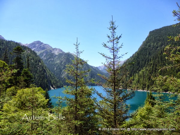 My Malaysia Daily Photo: China Trip - Day 3 Jiuzhaigou Zechawa Valley