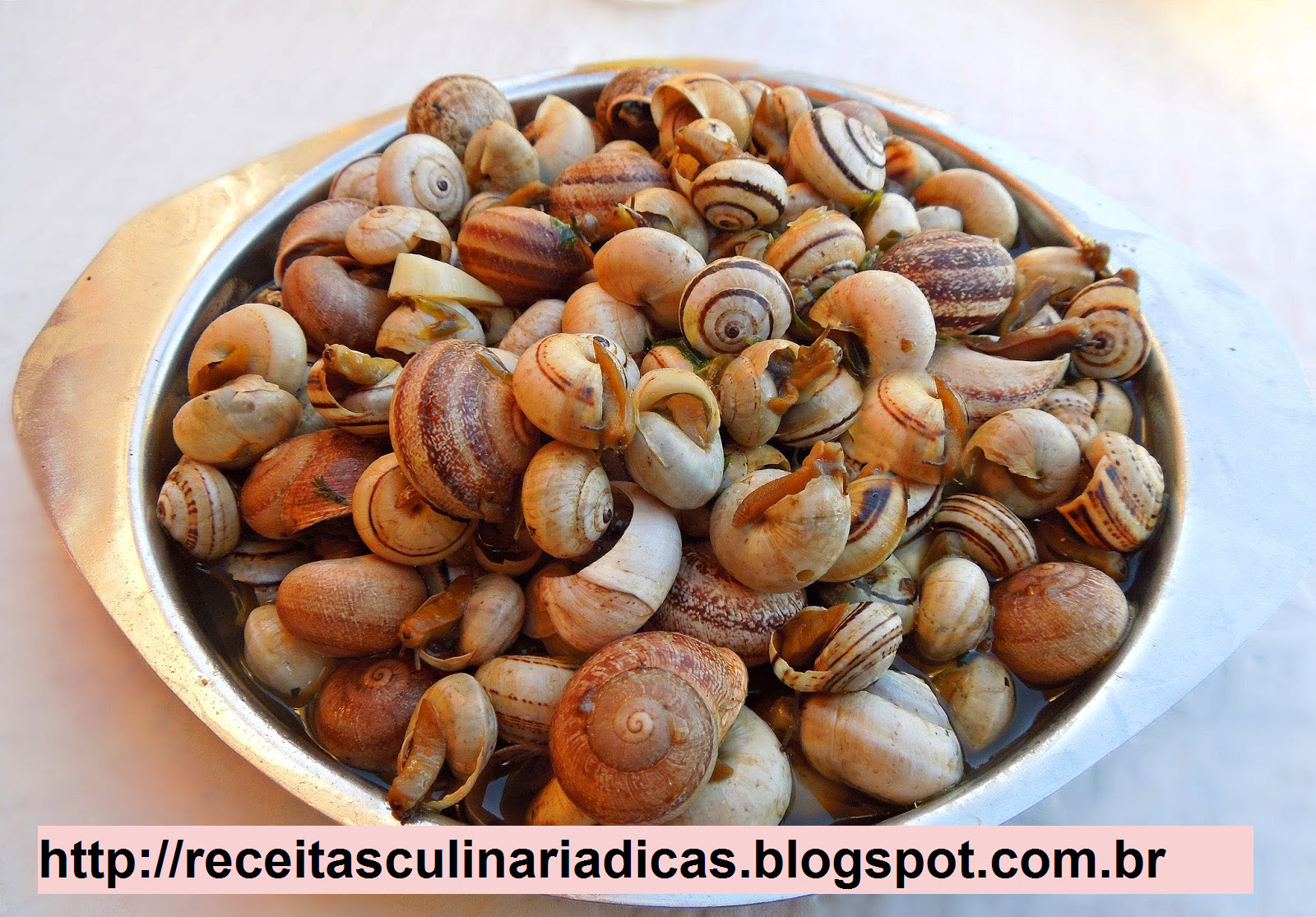 Culinária Receitas & Dicas: CARACÓIS