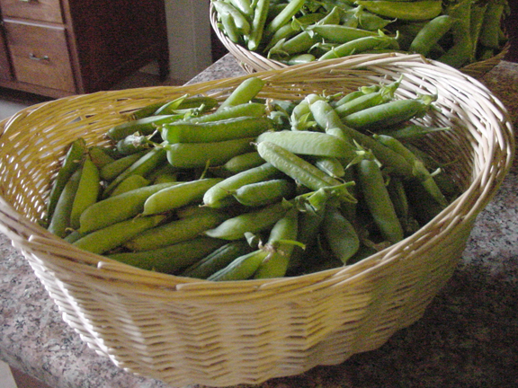 Eating Floyd...: Eating Floyd: Playing Catch-Up (and a cherry update)