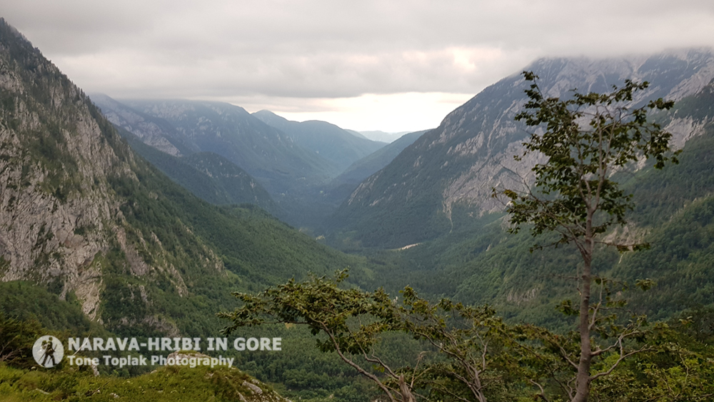 Narava hribi in gore: Gamsov skret
