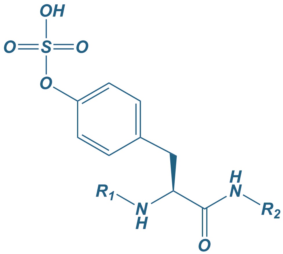 Peptide Synthesis: Peptide Modification: Sulphation