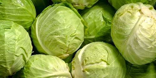 Manfaat Kubis / Kol Untuk Kecantikan - Jantung Sehat